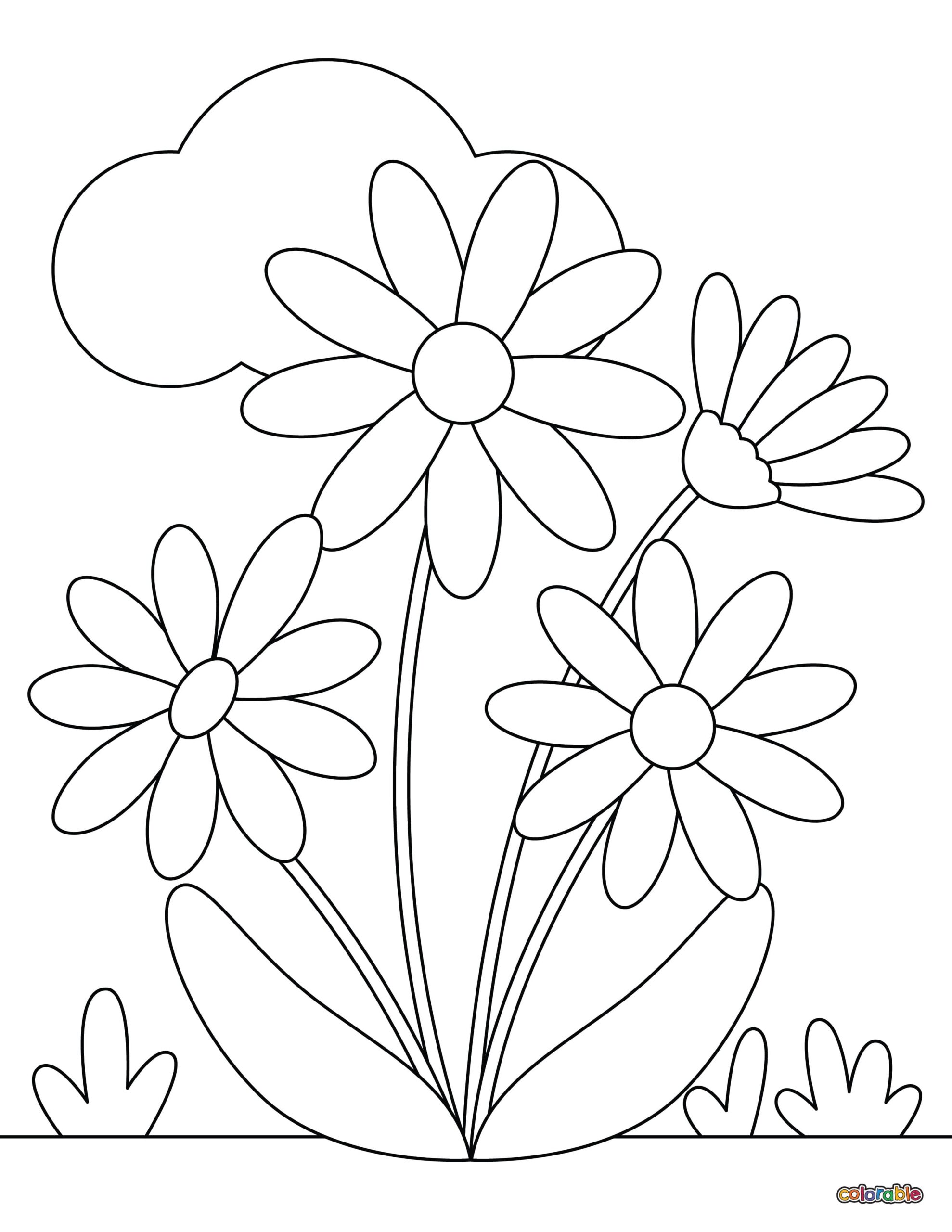 Daisy Coloring Pages - 30 Free Pages | Colorable