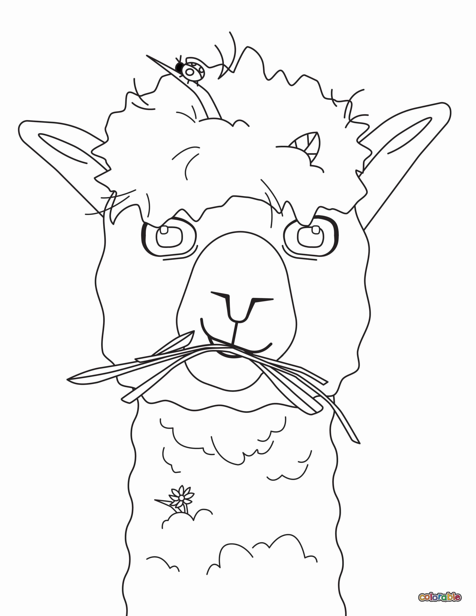 Alpaca Coloring Pages - 17 FREE Pages | Colorable